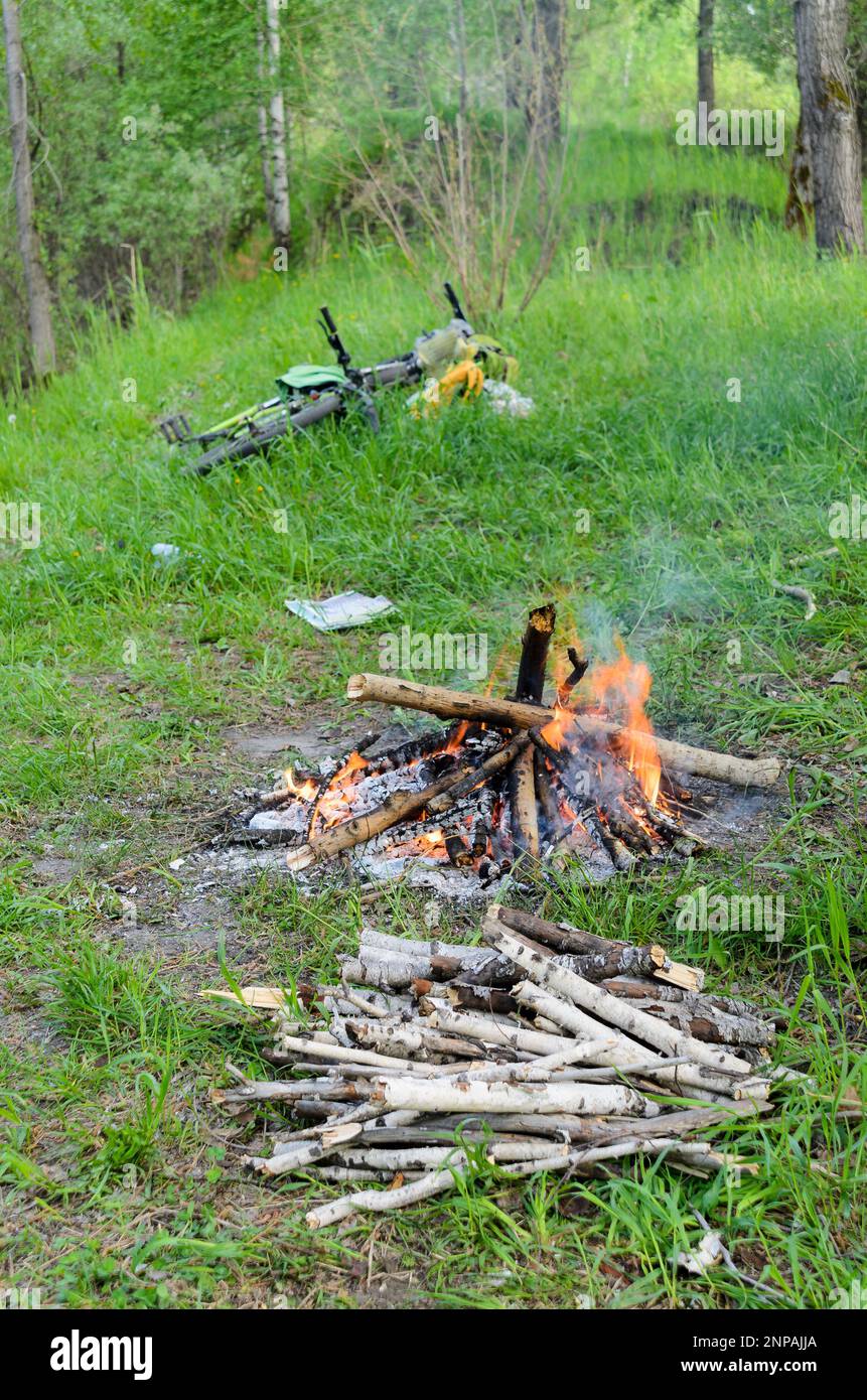 A bonfire burns in the forest on the grass during the day in Russia ...