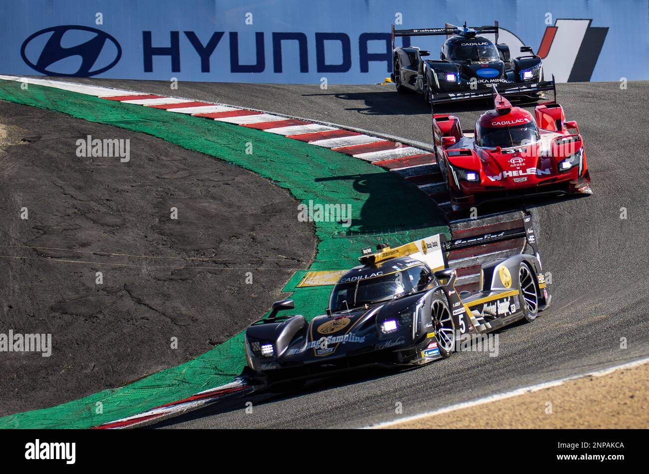 Nov 01 2020 Monterey, CA, U.S.A. Mustang Sampling Racing / JDC-Miller ...