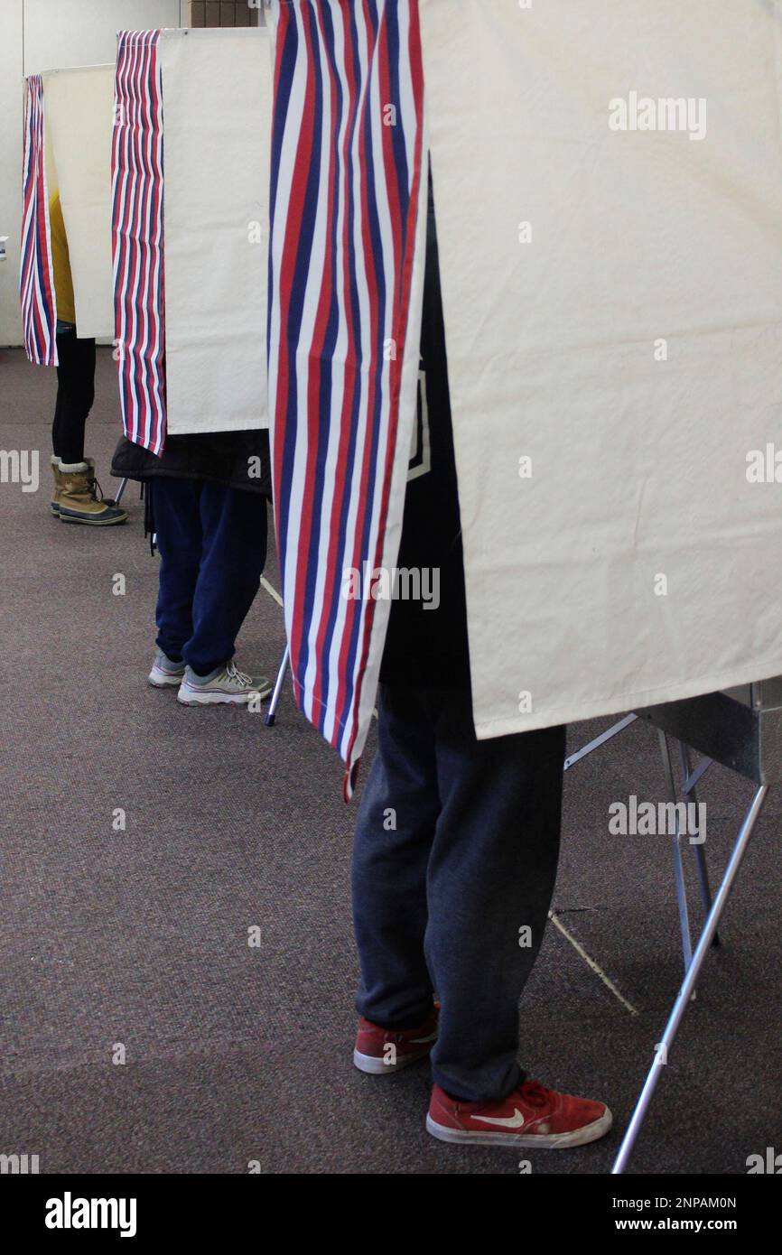 Voters fill out ballots in voting booths at the Soldotna Regional ...