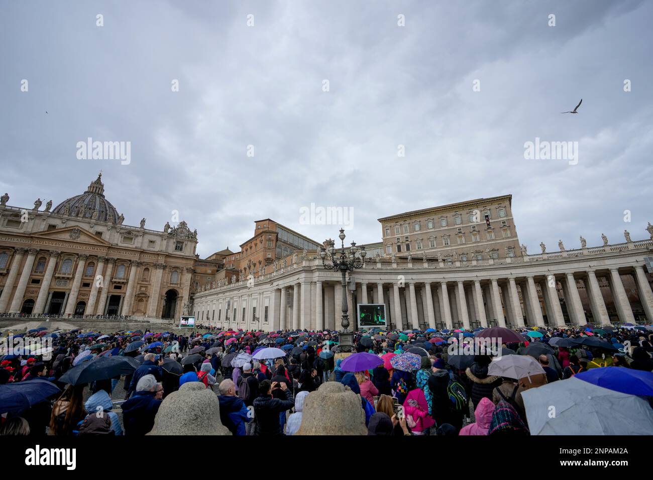 People crowd St. Peter's Square at the Vatican as Pope Francis delivers ...