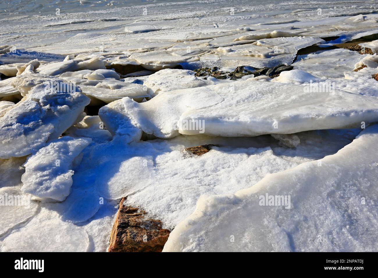 The winter sea ice Stock Photo - Alamy