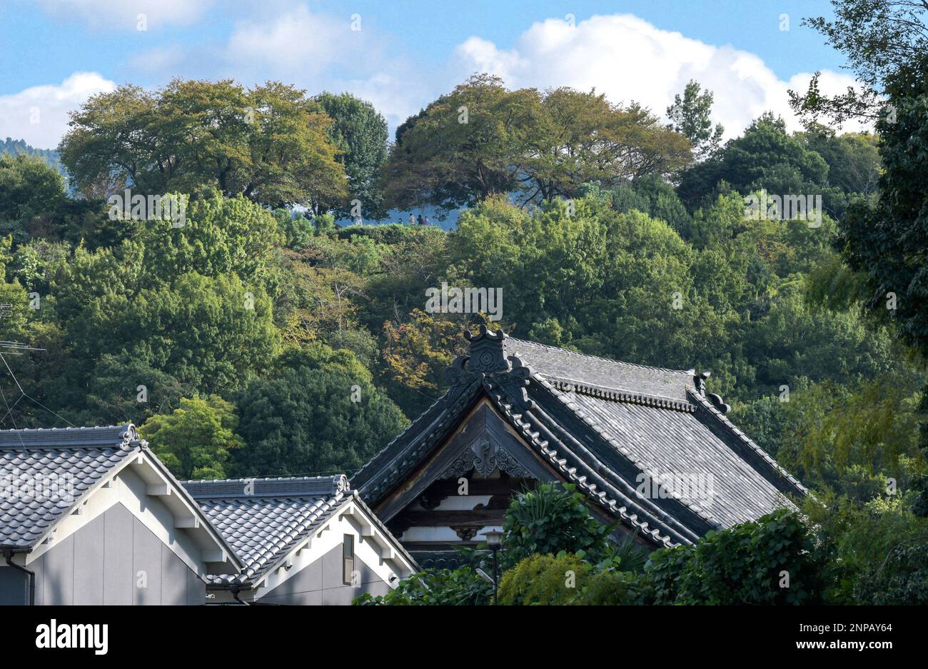 A picture taken on Oct. 13, 2020 shows Kogenji Temple (R) in Asuka-mura ...