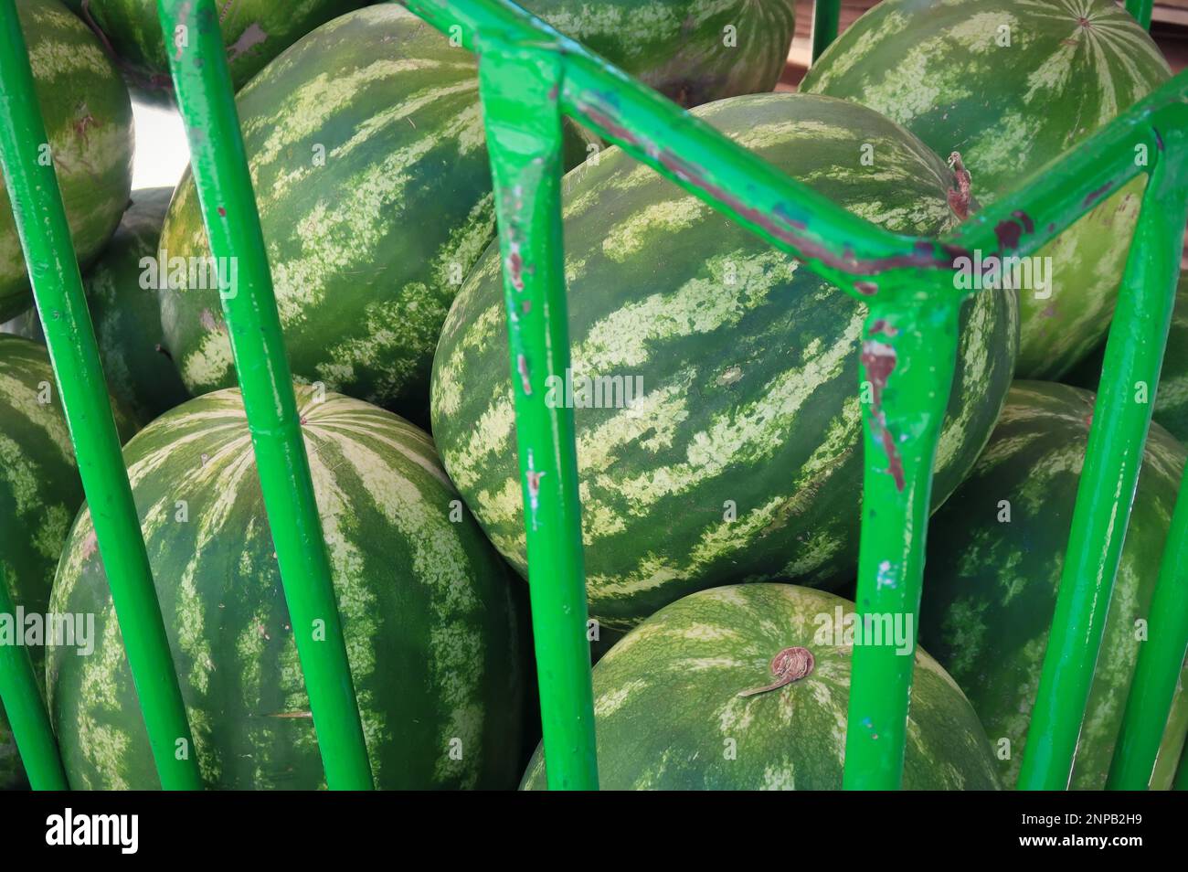 Watermelons in group hi-res stock photography and images - Alamy