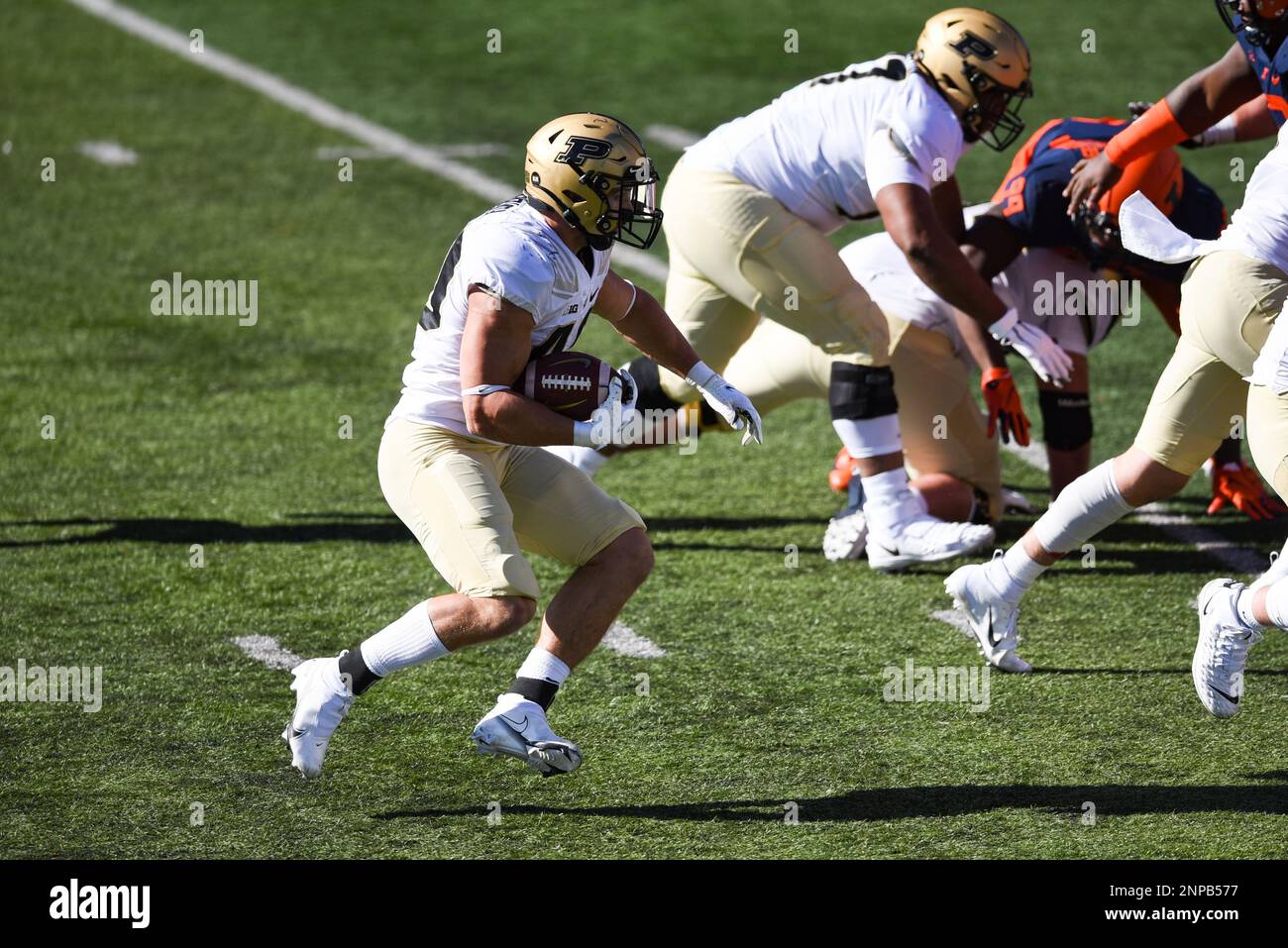 CHAMPAIGN, IL - OCTOBER 31: Purdue RB Zander Horvath (40) runs with the ...