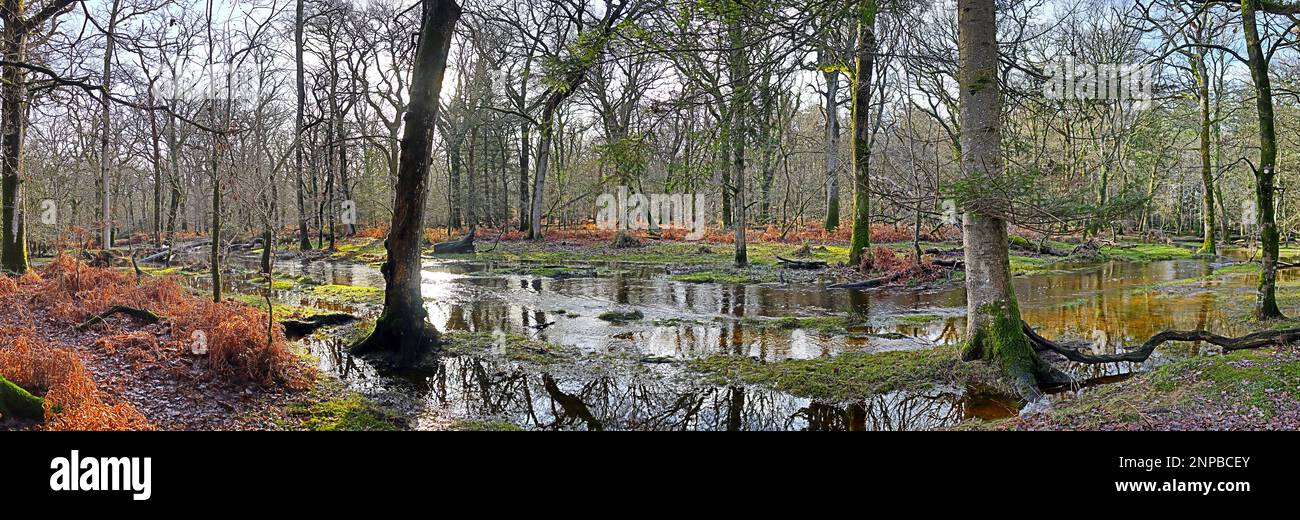 Panorama blackwater hi-res stock photography and images - Alamy