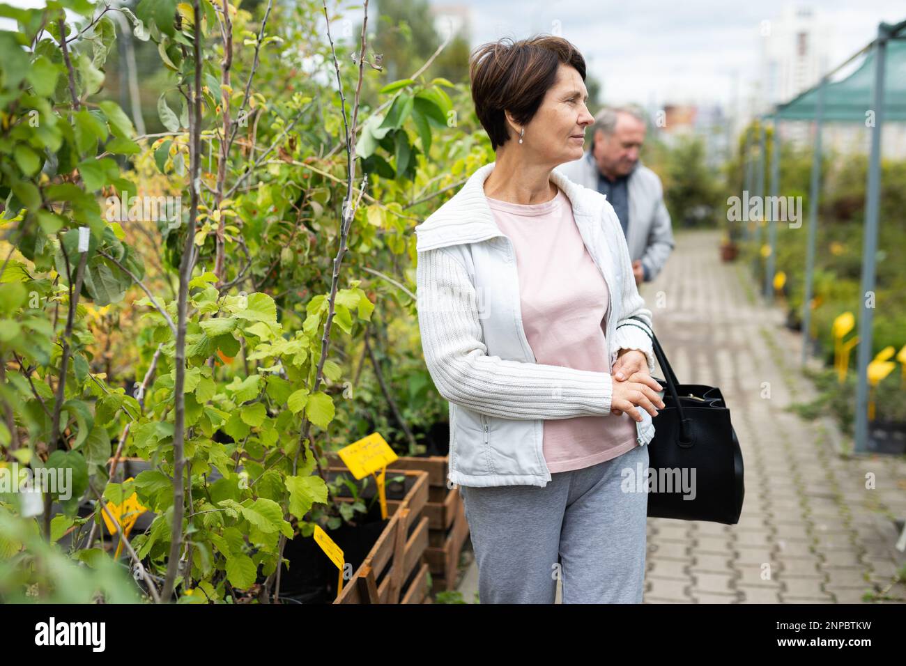 Aged man and woman customers buying tree seedling in open-air market ...
