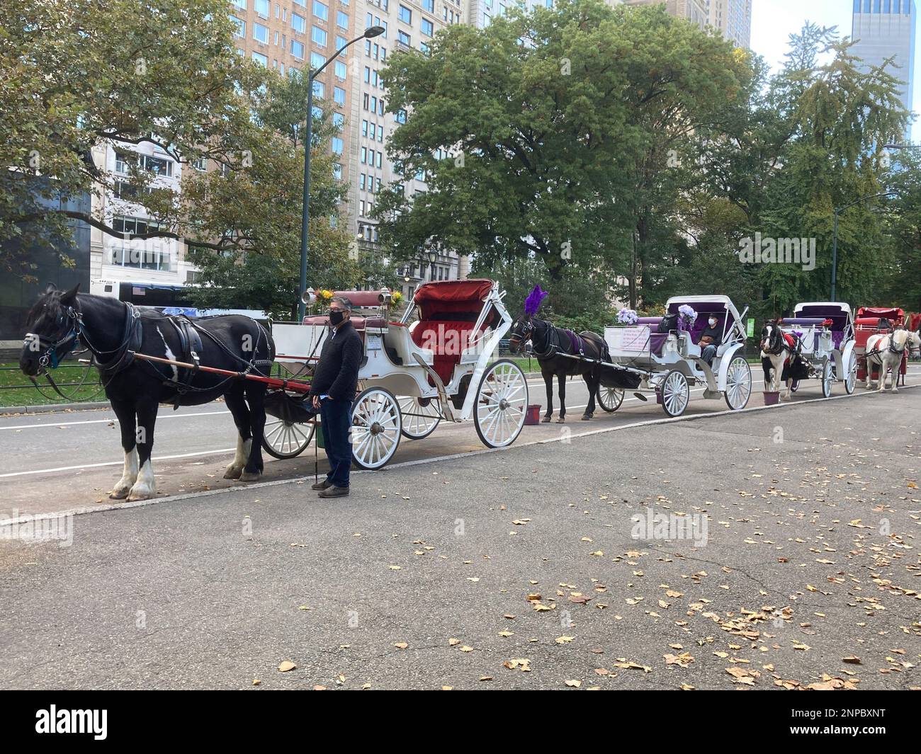 Photo by: STRF/STAR MAX/IPx 2020 10/24/20 Horse drawn carriages are ...