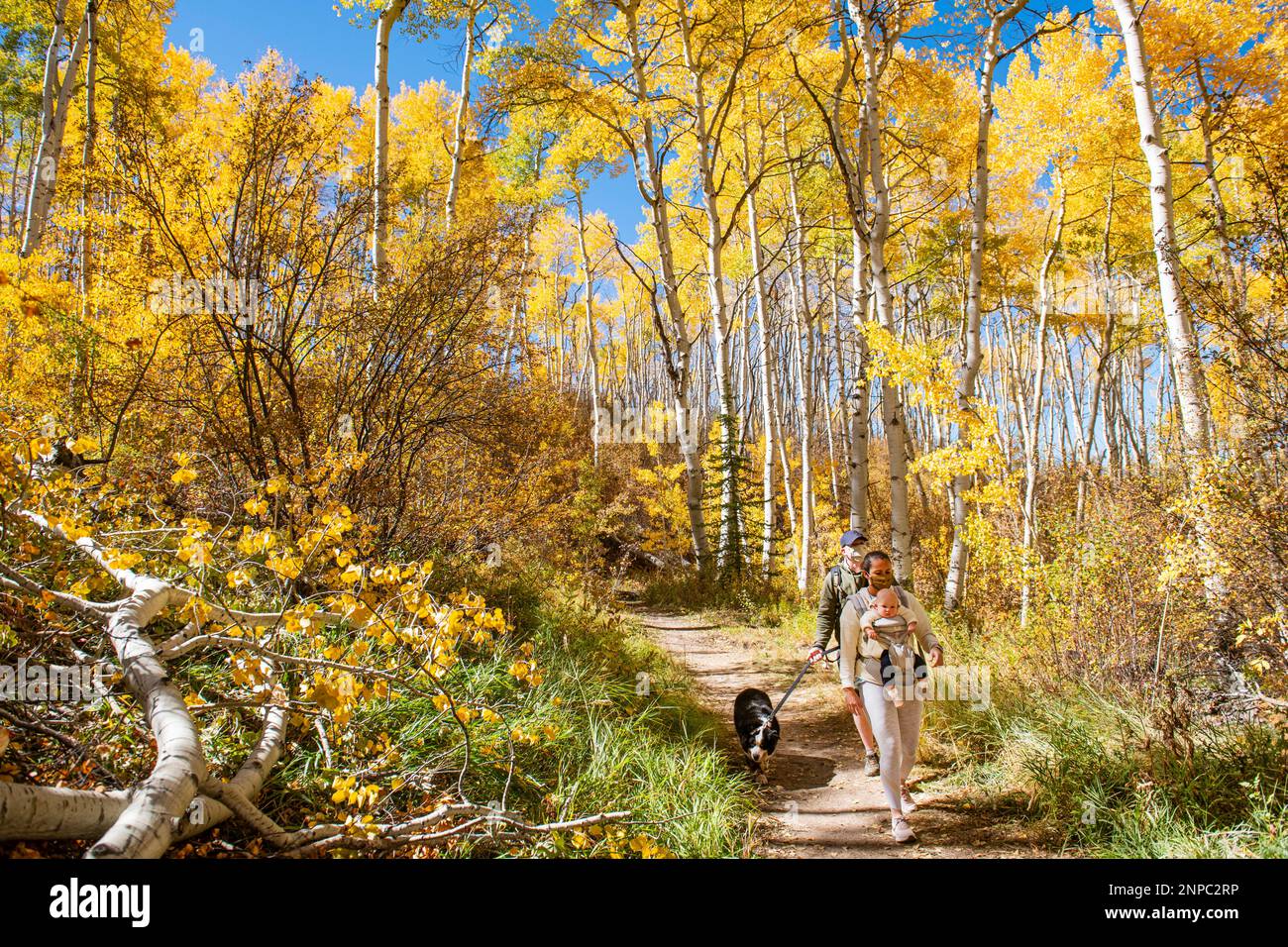 A family walks on Tom Blake trail in Snowmass, Colo., on Tuesday, Sept ...