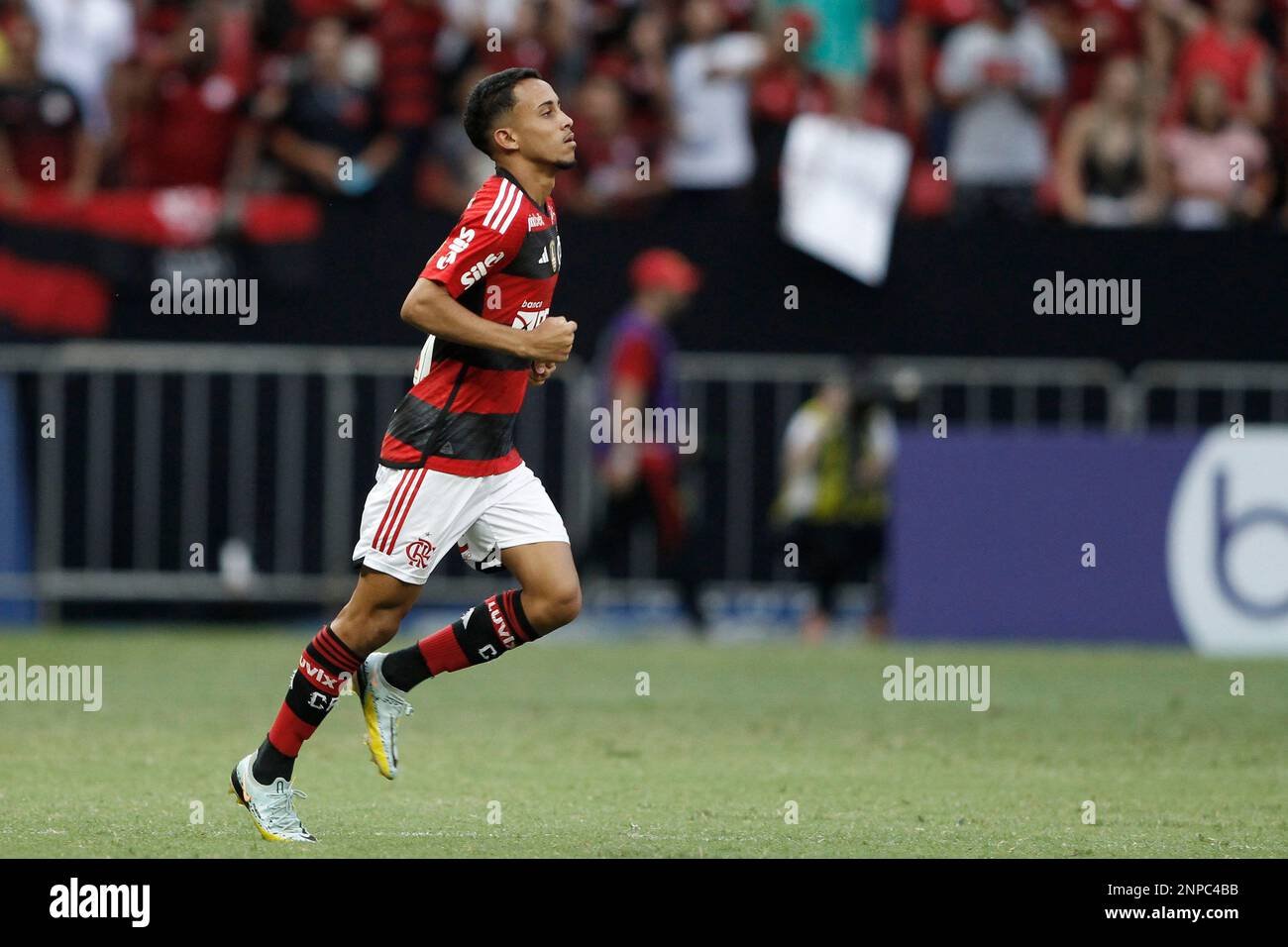 Matheus goncalves hi-res stock photography and images - Alamy