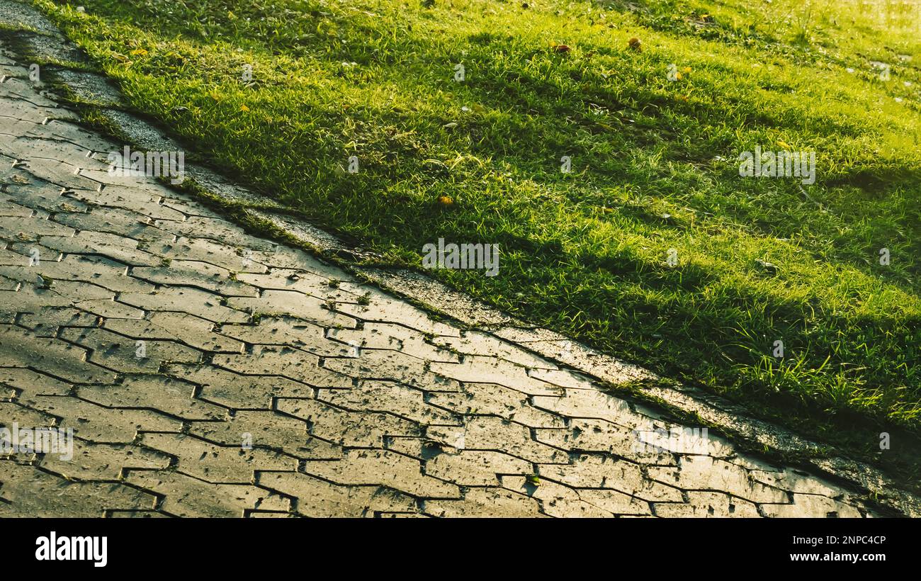 Summer morning warm sun reflect footpath garden paving stones landscape ...