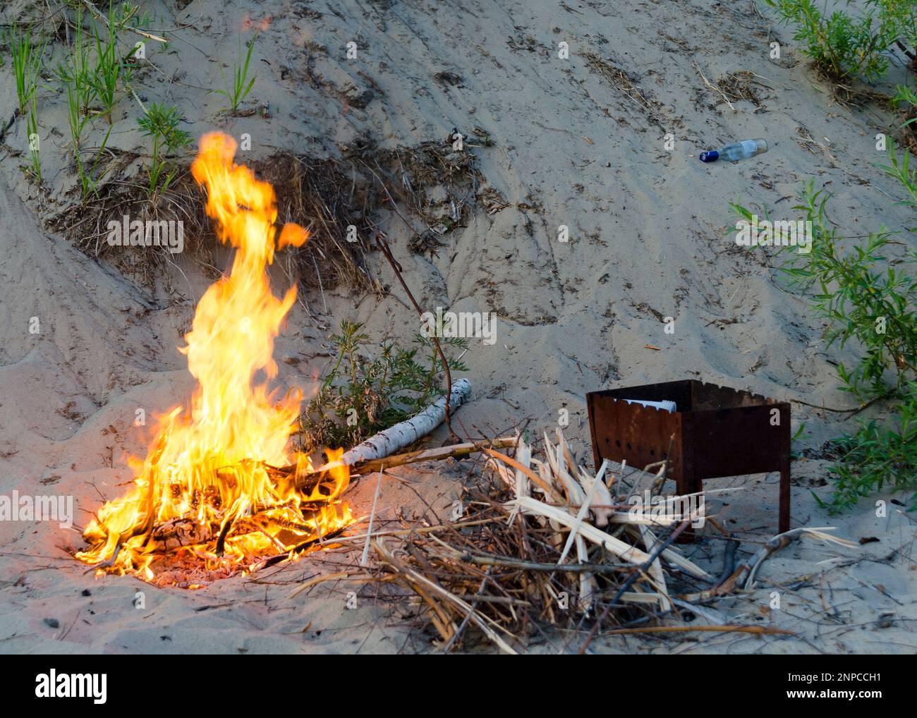 A bonfire burns in the forest on the grass during the day in Russia ...