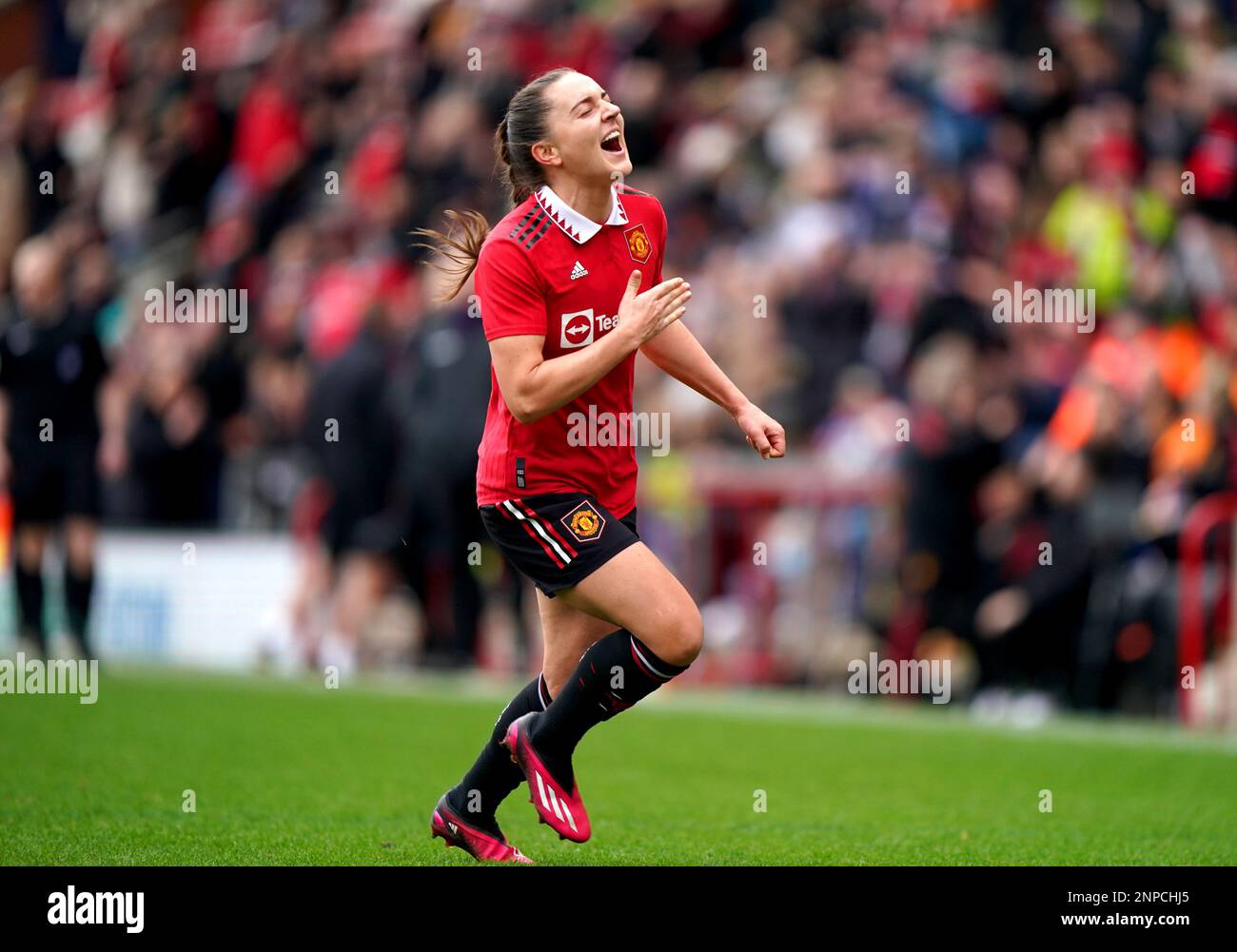 Vilde boe risa hi-res stock photography and images - Alamy