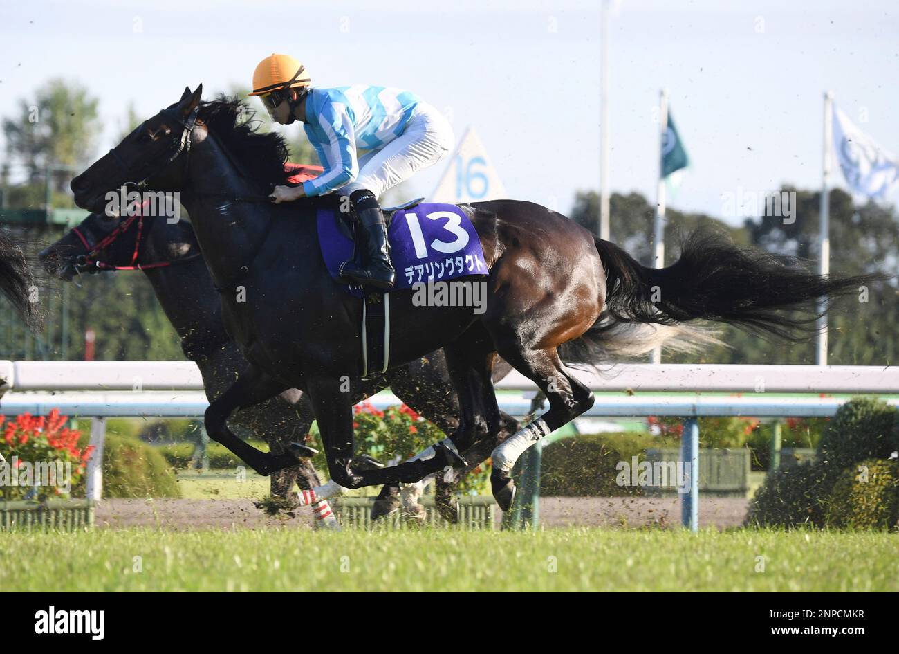 Daring Tact (handler Haruki Sugiyama) wins the Shūka Shō, a Grade 1 (G1 ...