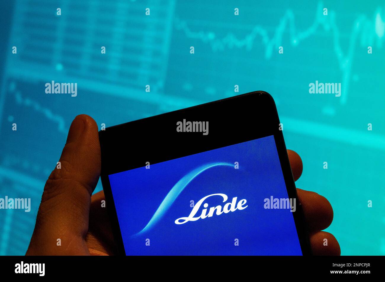 China. 15th Feb, 2023. In this photo illustration, the global ...