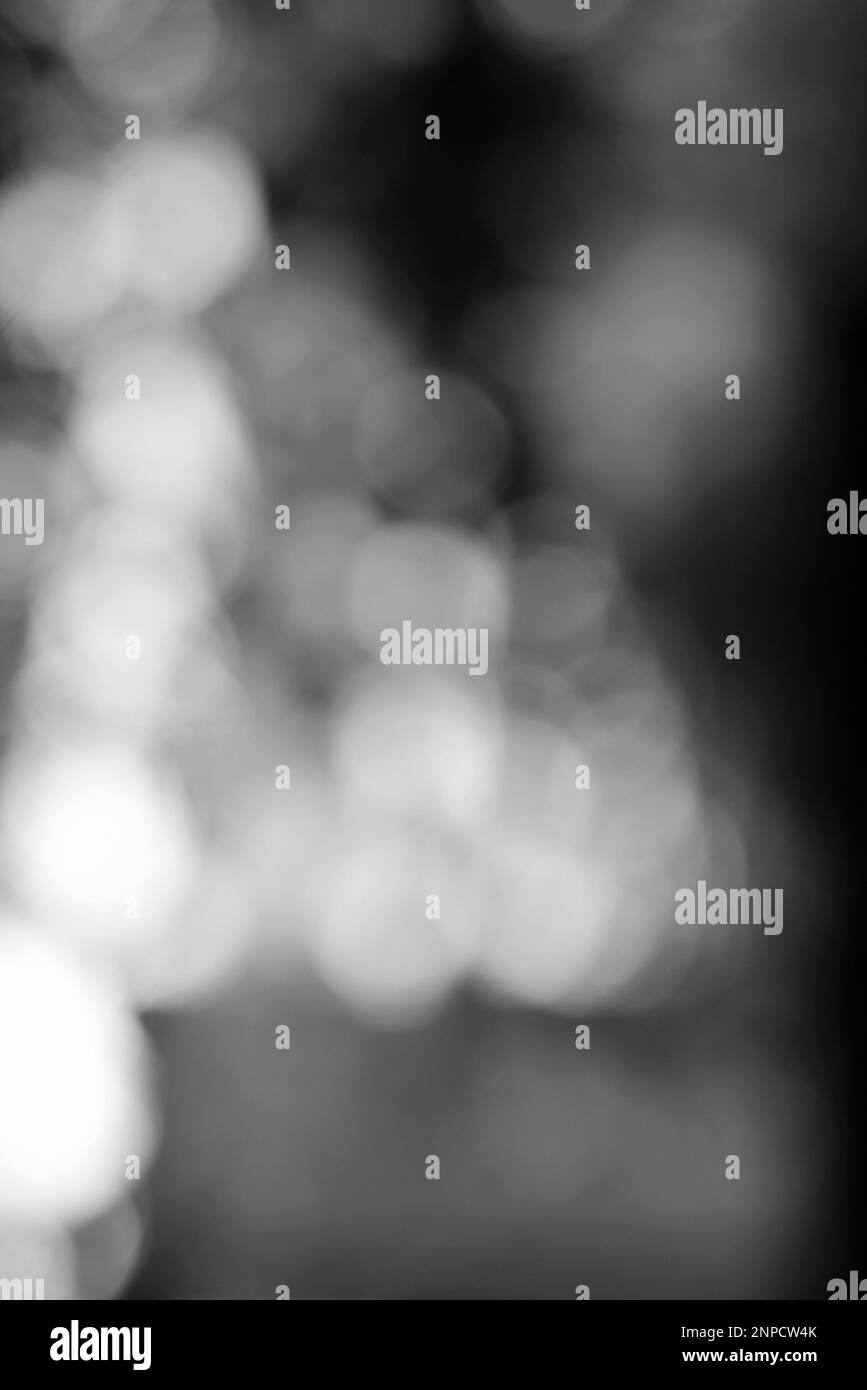 A full frame view of blurry dreamy bokeh circles floating around the ...