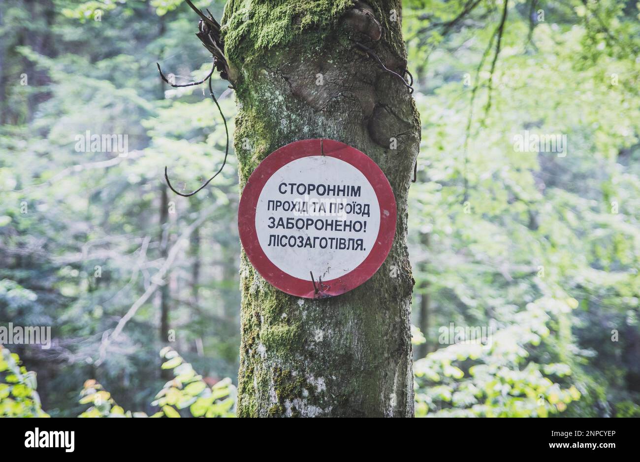 Sign Logging prohibiting a passage in the forest in the Carpathians ...