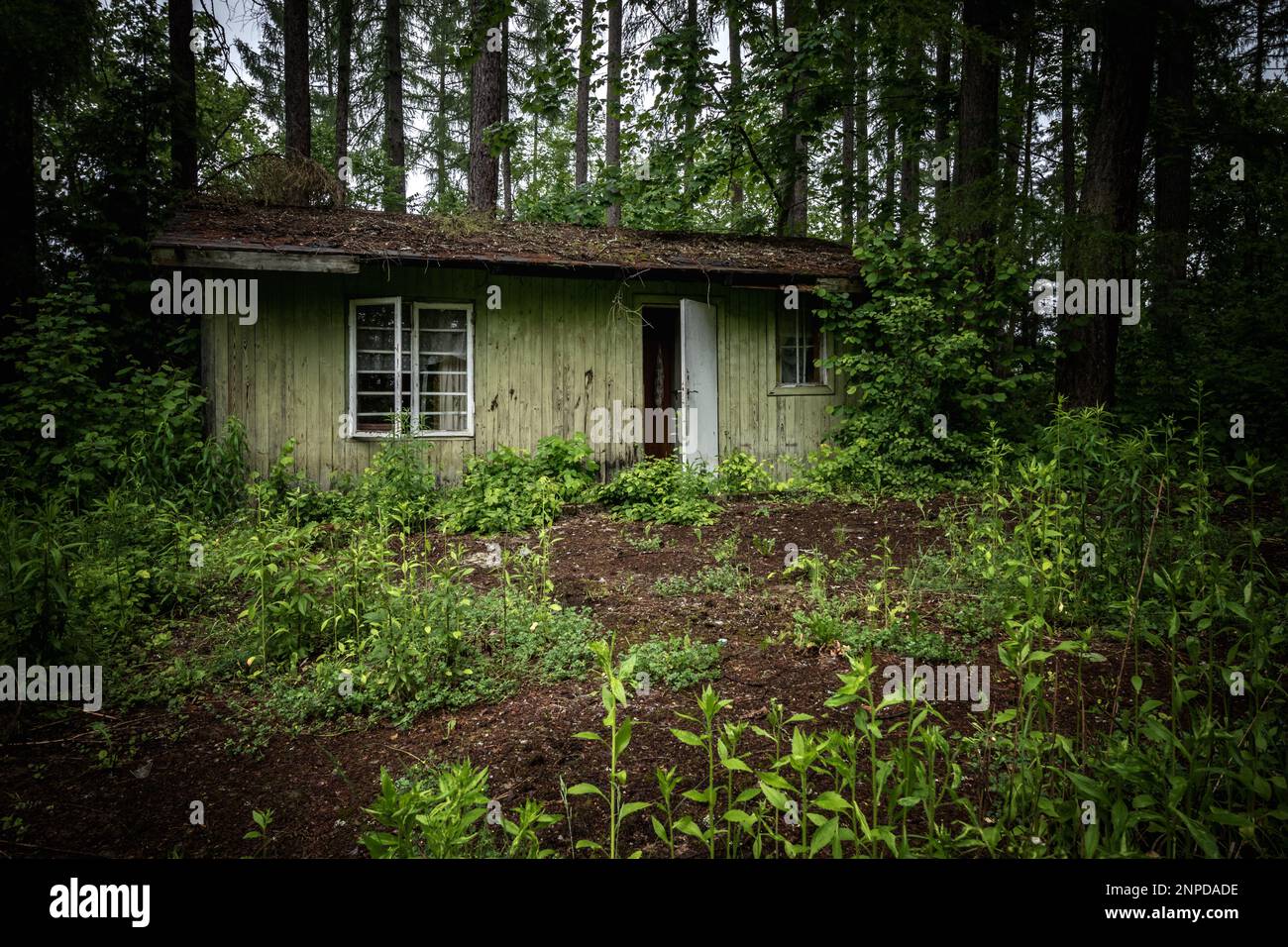 Cottages in an abandoned resort in the middle of the forest. Poland ...