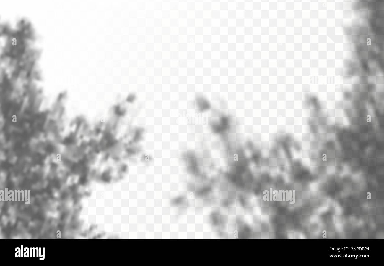 The effect of overlaying shadows. Realistic shadow tropical leaves and ...