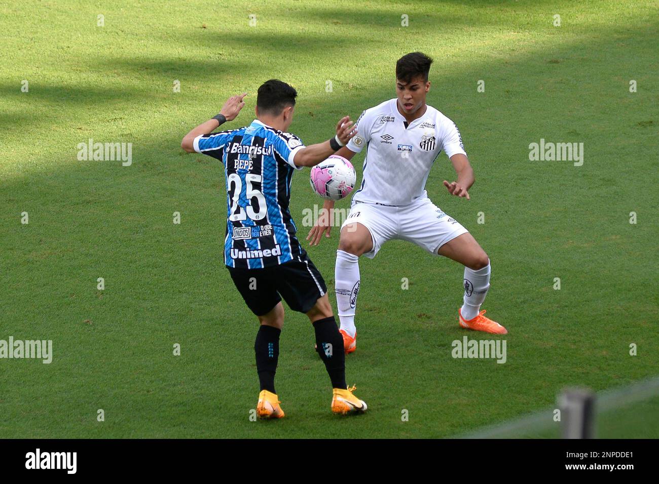 SP - Santos - 11/10/2020 - BRAZILIAN TO 2020 SANTOS X GREMIO - Kaio Jorge Santos player plays ...