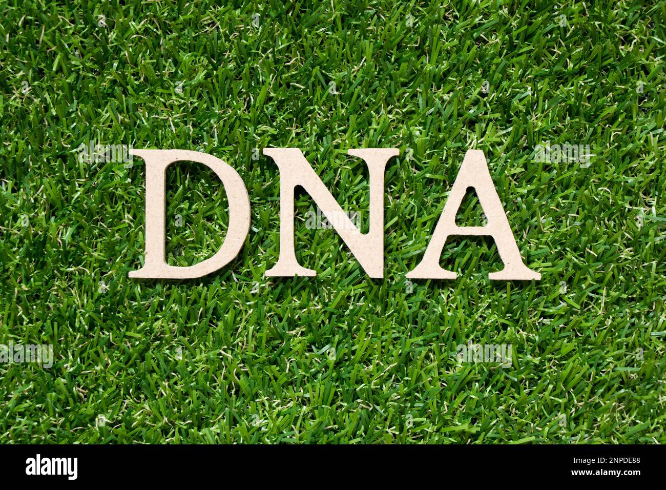 Wood alphabet letter in word DNA (abbreviation of Deoxyribonucleic acid ...