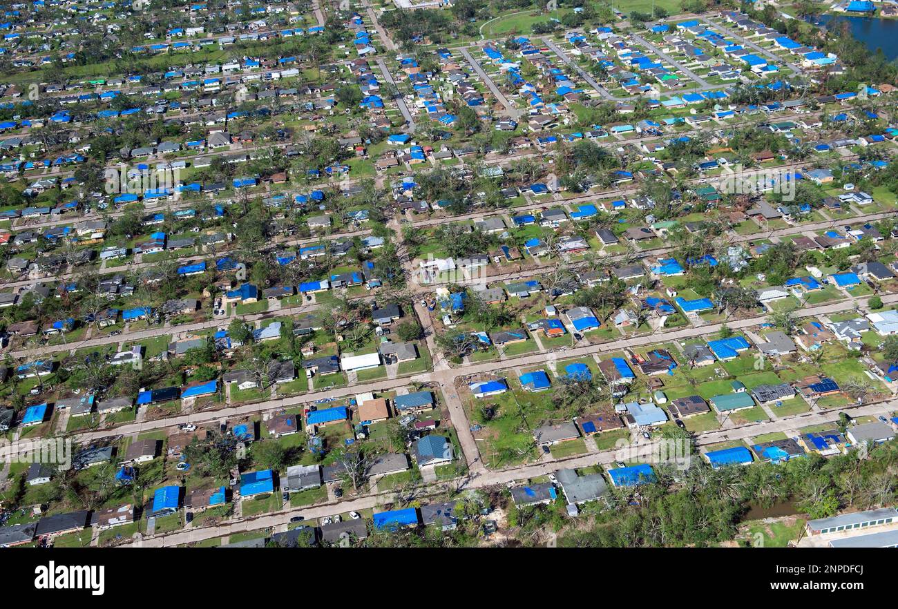 Blue tarps cover houses in the aftermath of Hurricane Delta, Saturday ...