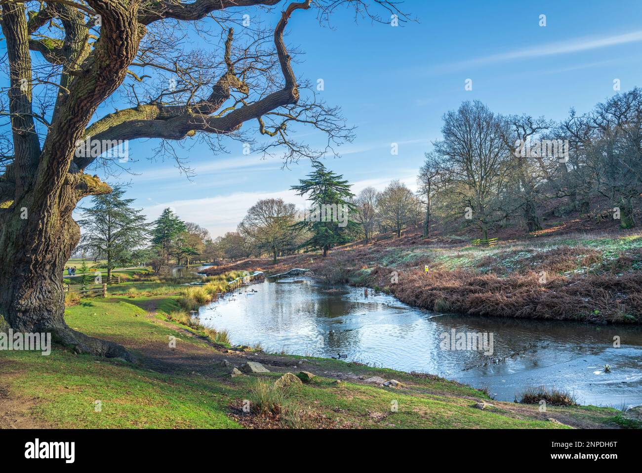 The river Lin flowing through Charnwood Forest Stock Photo - Alamy