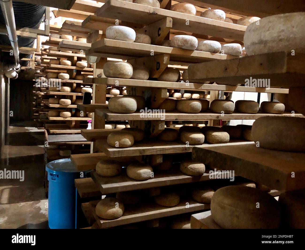 The underground cave below the cheesemaking facility at Goot Essa in ...
