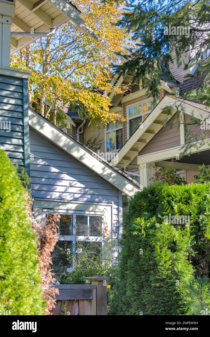 Windows and roofs of residentilal buildings among the tree branches ...
