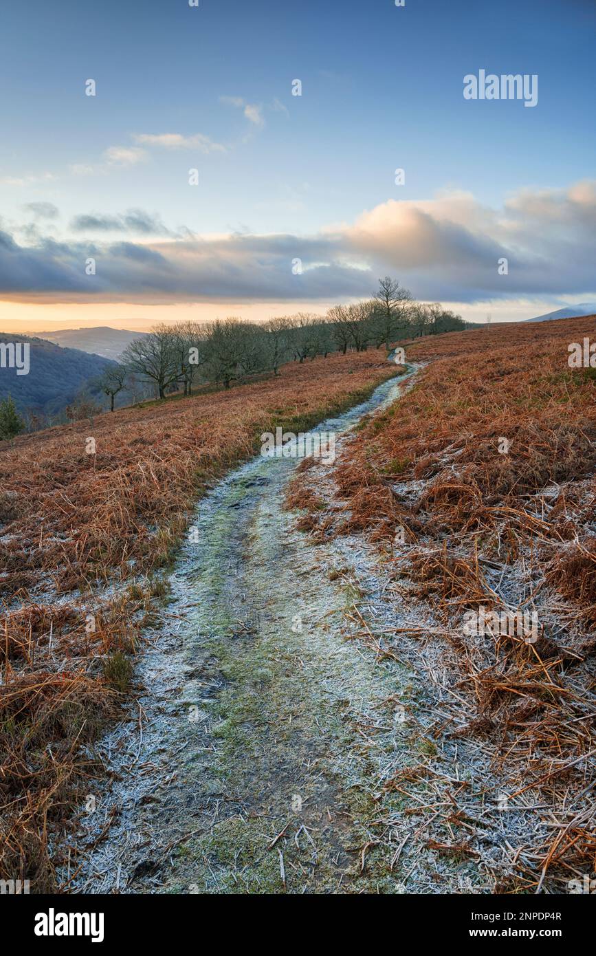 Covered footpath hi-res stock photography and images - Alamy