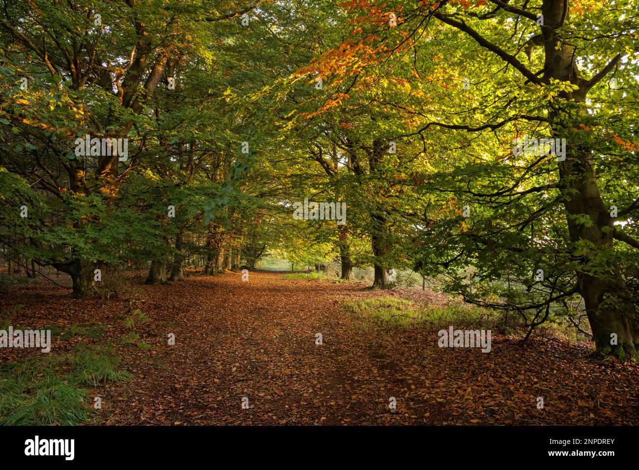 Trellech wales hi-res stock photography and images - Alamy