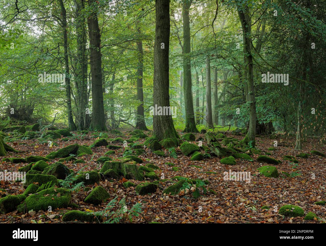 Trellech wales hi-res stock photography and images - Alamy