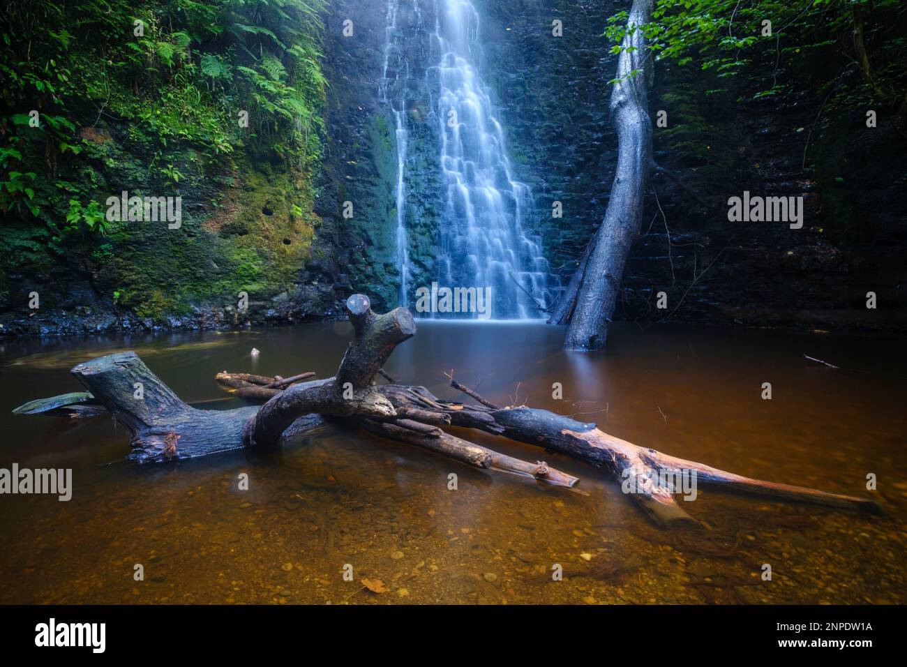 A fallen tree in front of a waterfall Stock Photo - Alamy