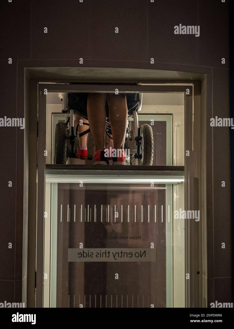 Four legs and feet wearing red shoes are seen going up in a lift in the ...
