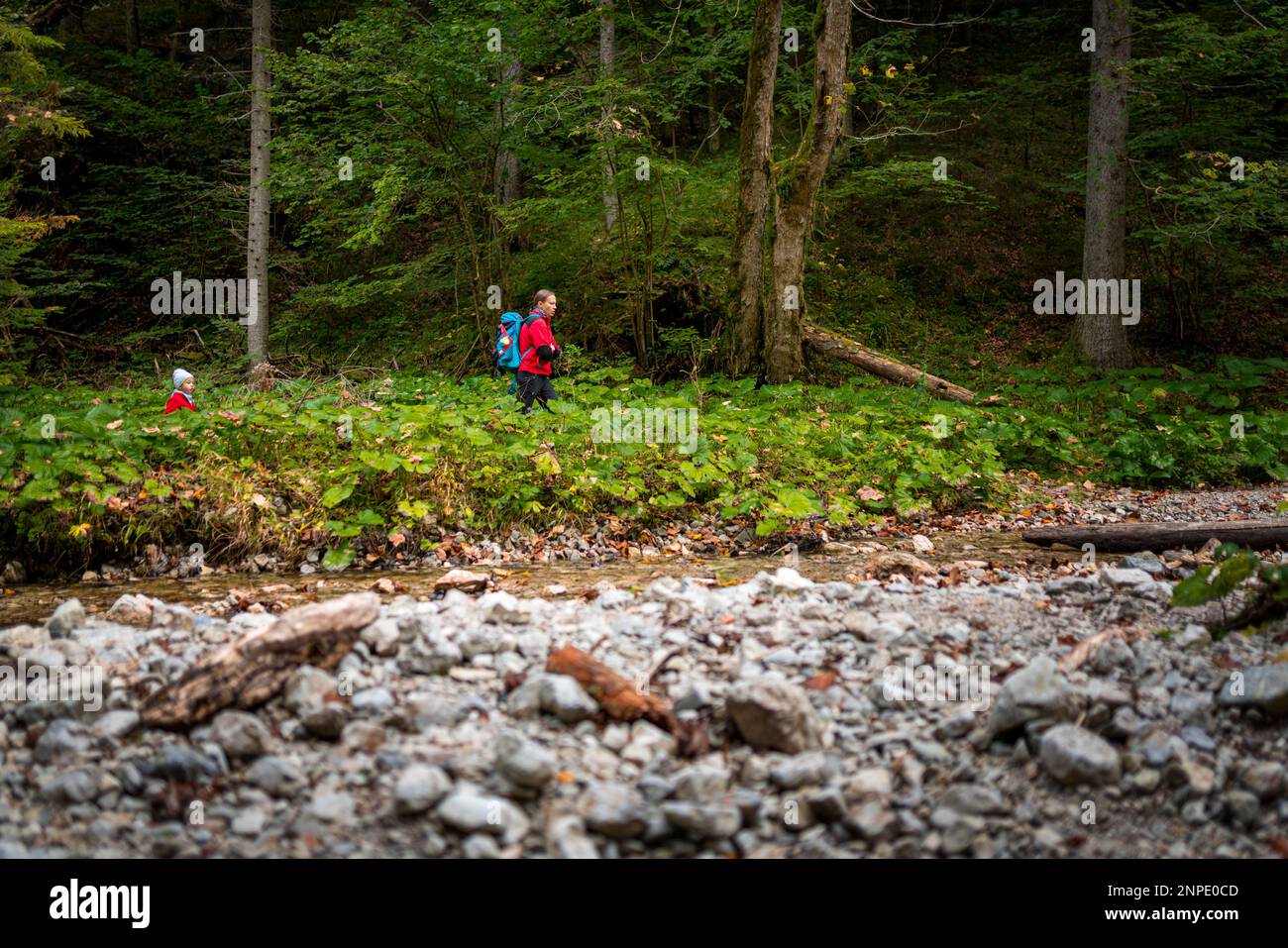Two backpackers (a woman with a little son) are walking along a creek ...