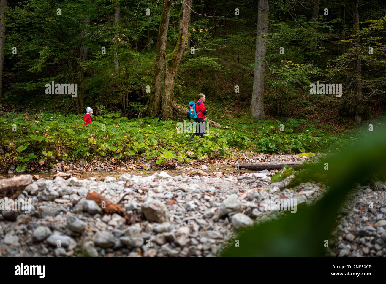 Two backpackers (a woman with a little son) are walking along a creek ...
