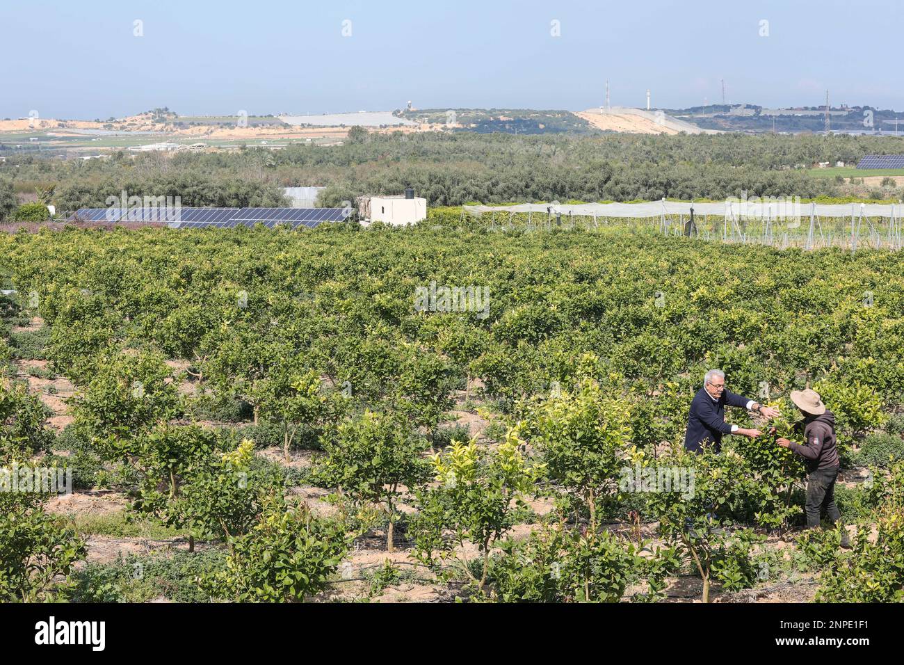 Palestinian engineer Aed Abu Ramadan and his assistant work at his ...