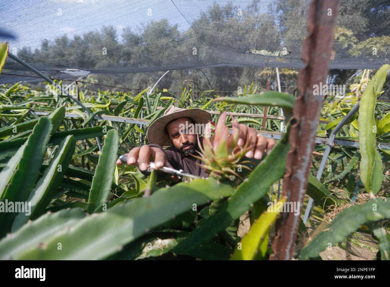 The assistant of Palestinian engineer Aed Abu Ramadan works at the ...