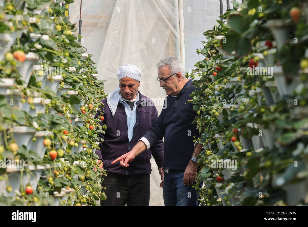 Palestinian engineer Aed Abu Ramadan and his assistant work at his ...