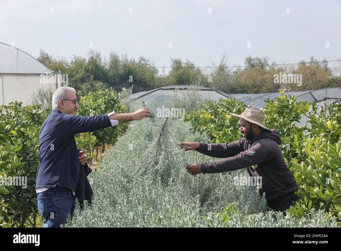 Gaza, Palestine. 25th Feb, 2023. Palestinian engineer Aed Abu Ramadan ...