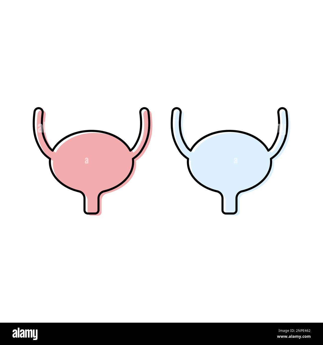 Set of Urology health human icon, anatomy medical body bladder sign ...