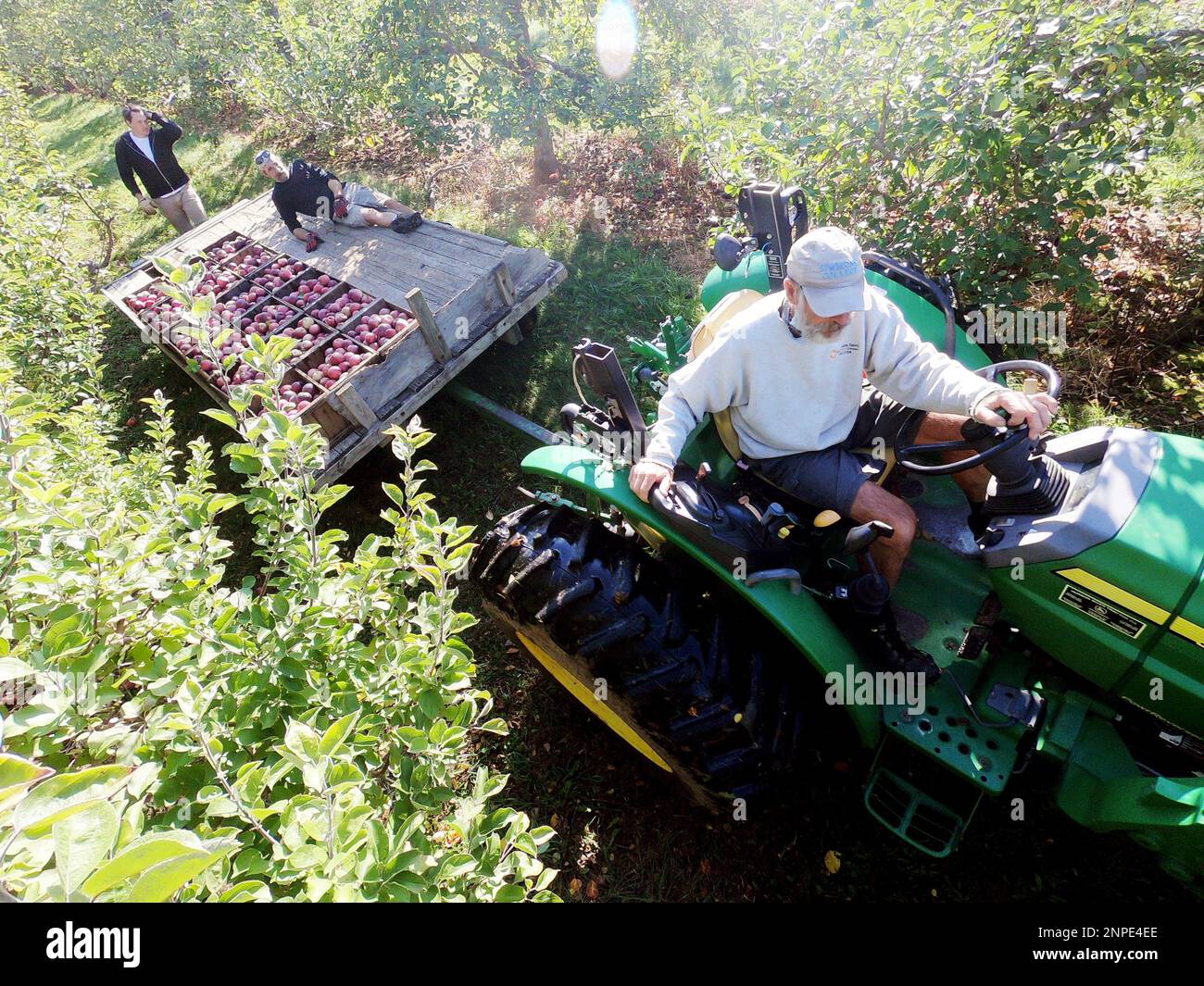 Rick Bartlett drives a load of apples back to the store fresh from the ...
