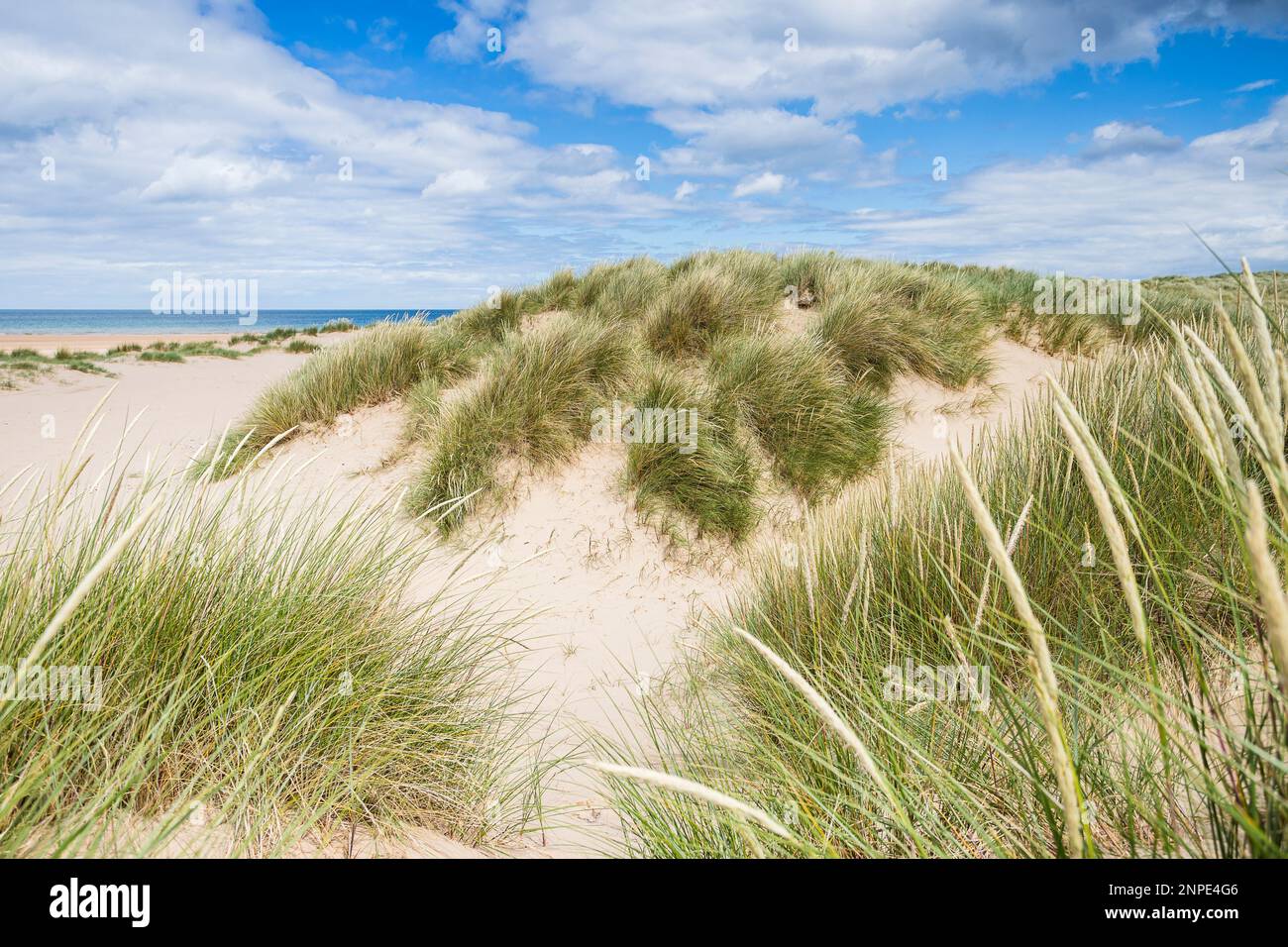 Sand dunes line the beach at Holkham on the North Norfolk coast Stock ...