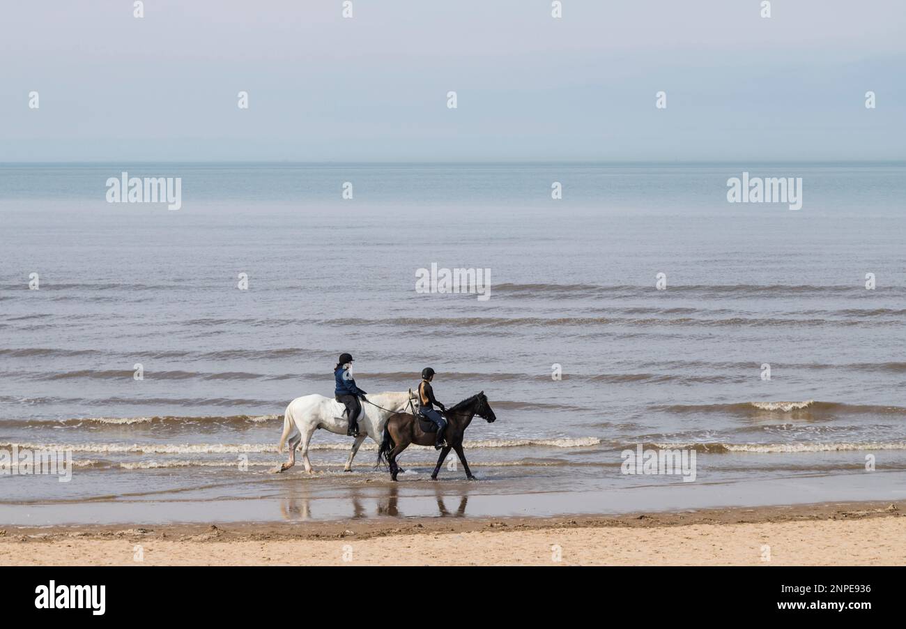 Two women riding on their horses at high tide on the shore at Formby ...