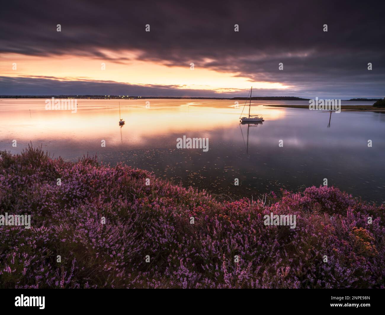 Heather poole hi-res stock photography and images - Alamy