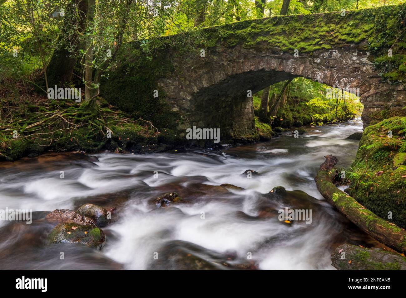 Water cascading over stones at the historic Buckland Bridge in Dartmoor ...