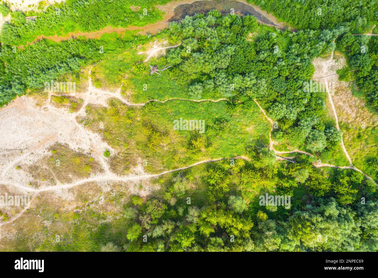 Top down view on exotic winding river flows through green wetlands ...