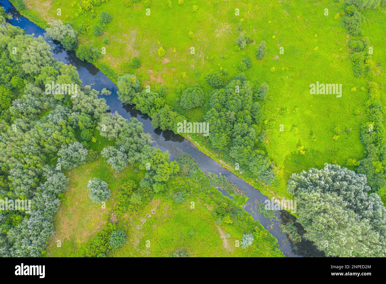 Top down view on exotic winding river flows through green wetlands ...