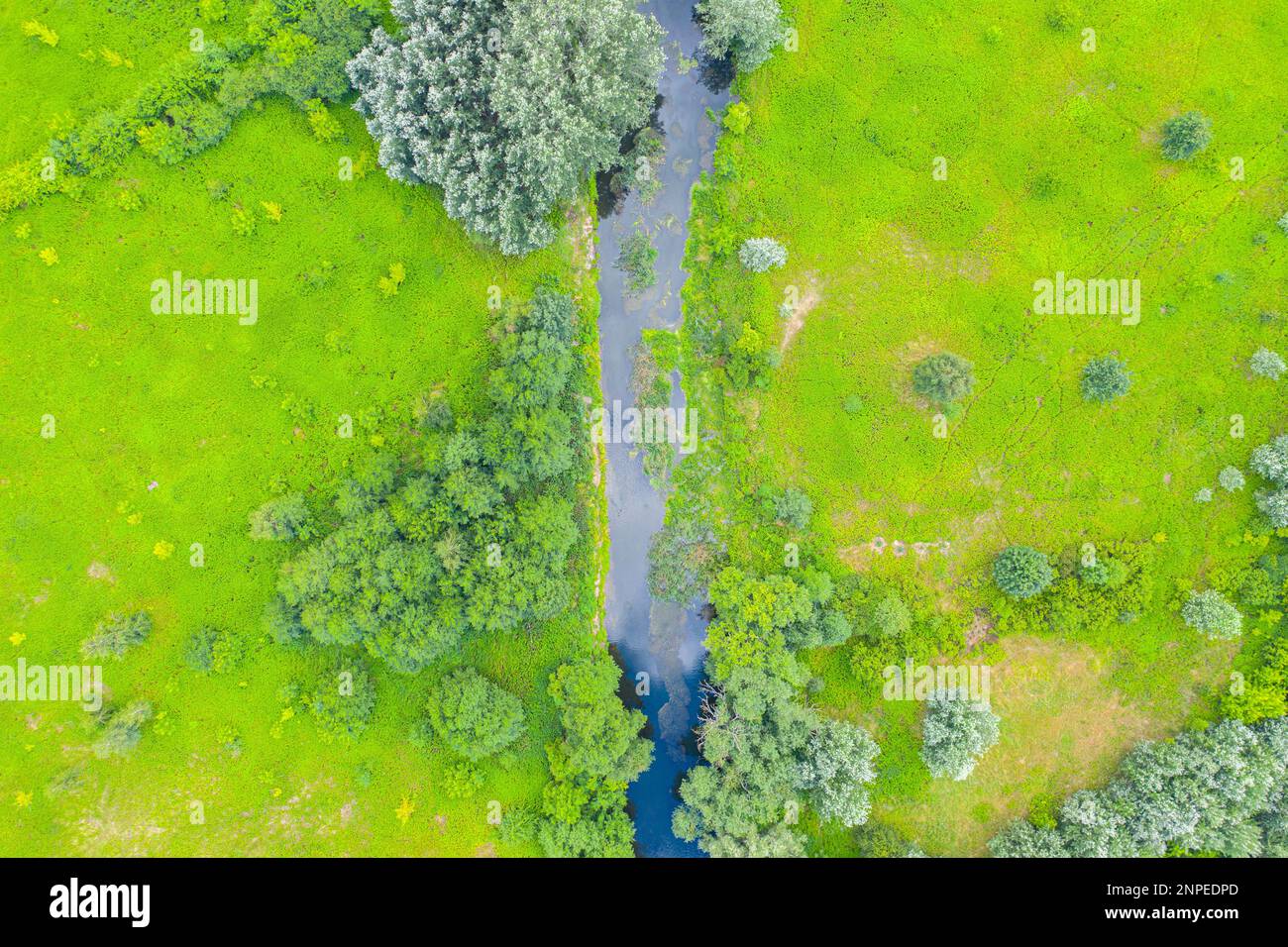 Top down view on exotic winding river flows through green wetlands. Birds eye view of zig-zag ...