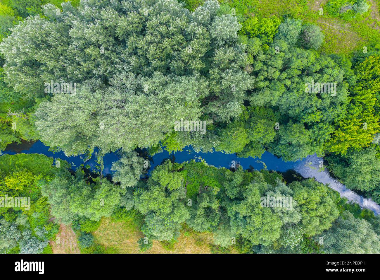 Top down view on exotic winding river flows through green wetlands ...