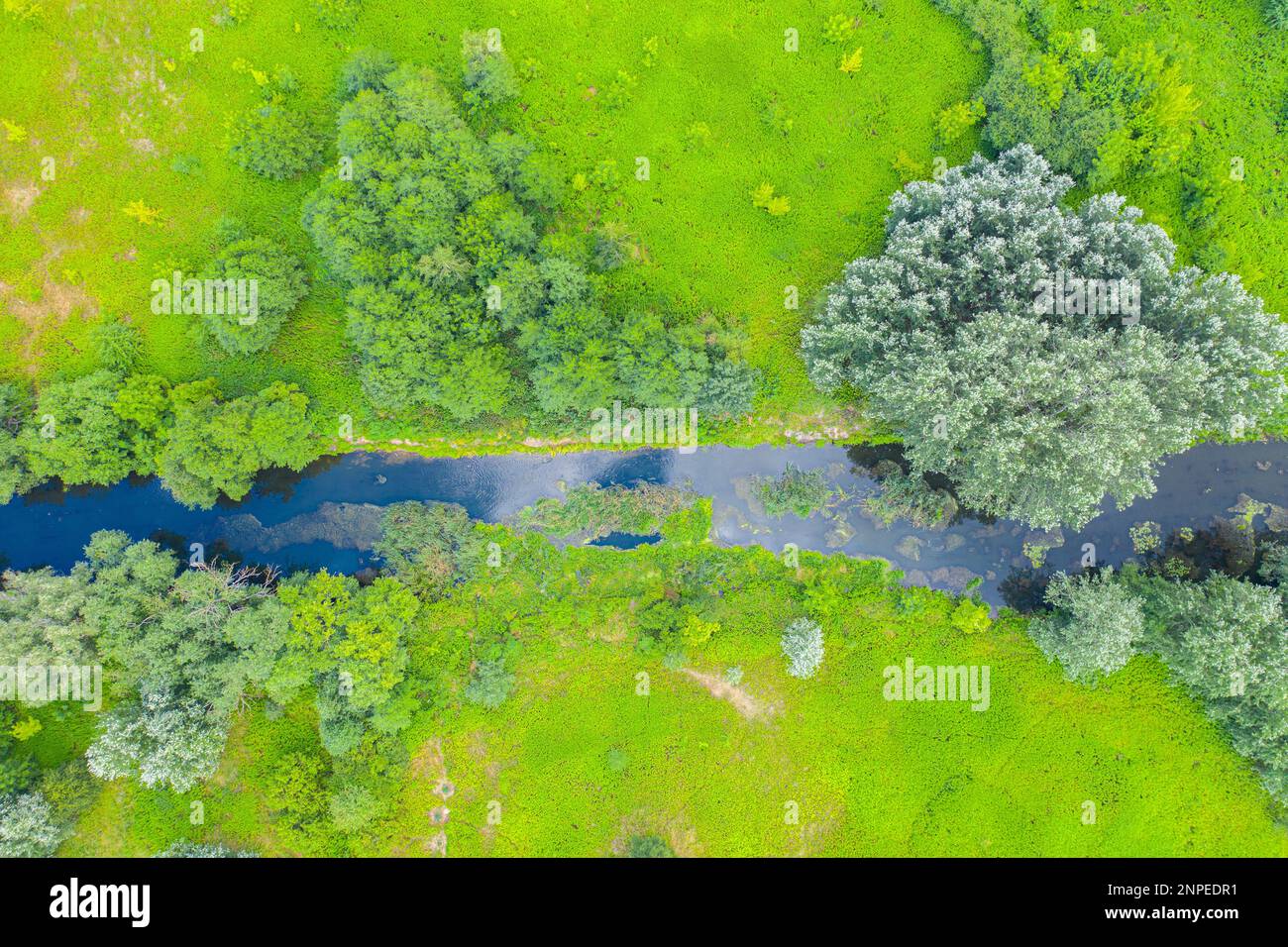 Top down view on exotic winding river flows through green wetlands. Birds eye view of zig-zag ...